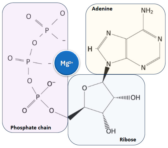 Magnesium and Migraine