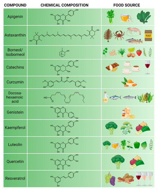 Much More than Nutrients: The Protective Effects of Nutraceuticals on ...