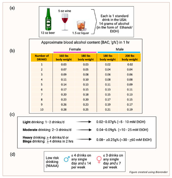 Endothelial Homeostasis Under the Influence of Alcohol—Relevance to ...
