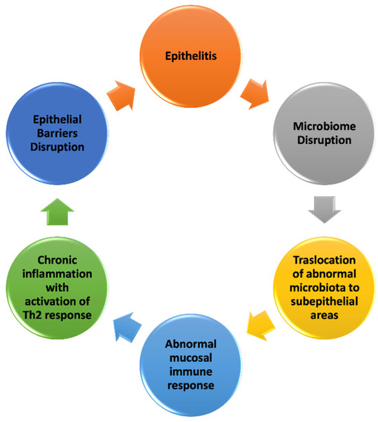 The Epithelial Barrier Hypothesis in Food Allergies: The State of the Art
