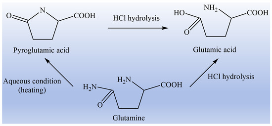 Glutamine Peptides: Preparation, Analysis, Applications, and Their Role ...