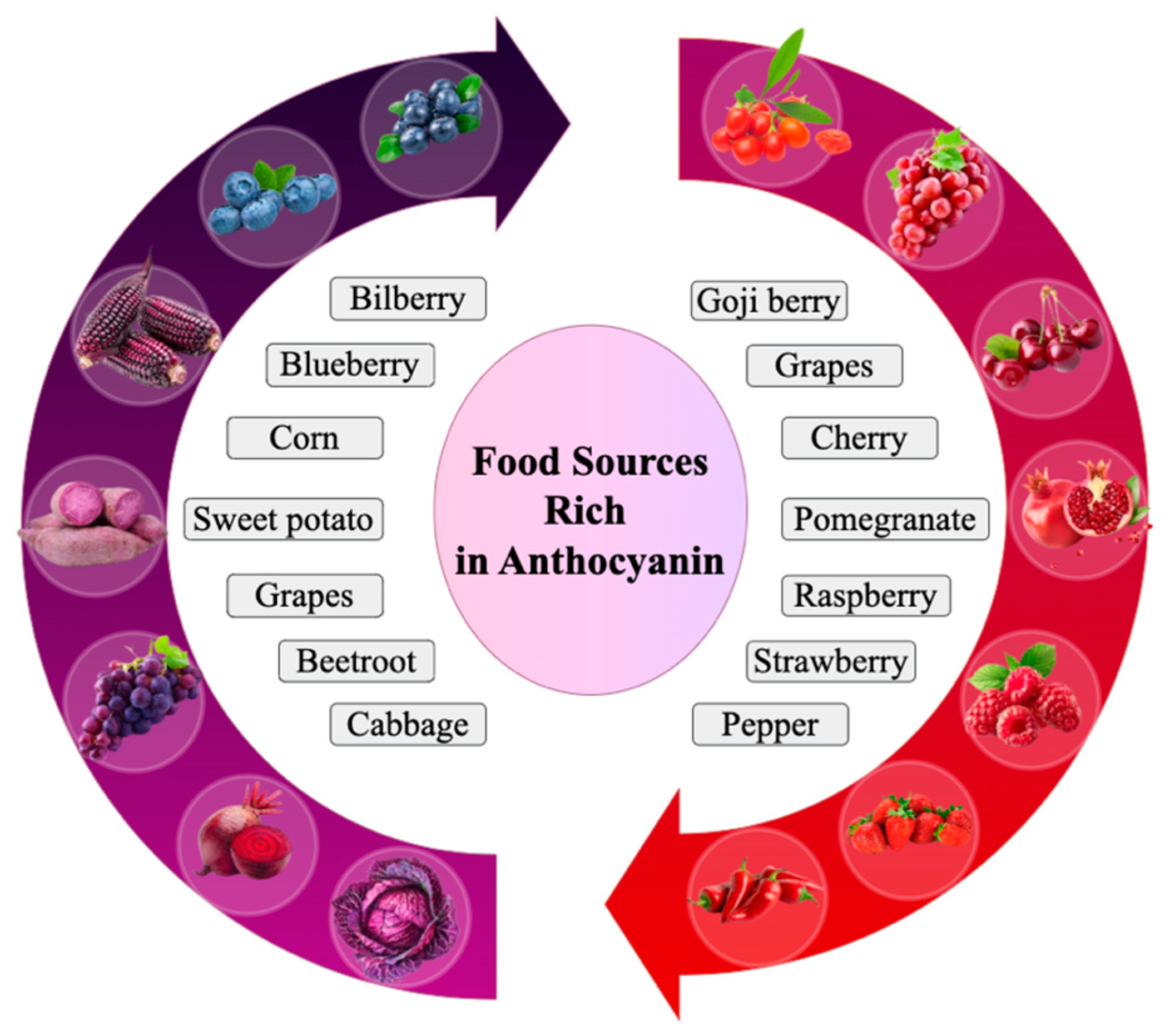 Critical Review on Anti-Obesity Effects of Anthocyanins Through PI3K ...