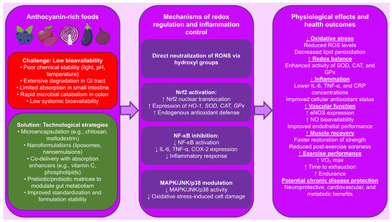 Anthocyanin-Rich Purple Plant Foods: Bioavailability, Antioxidant ...
