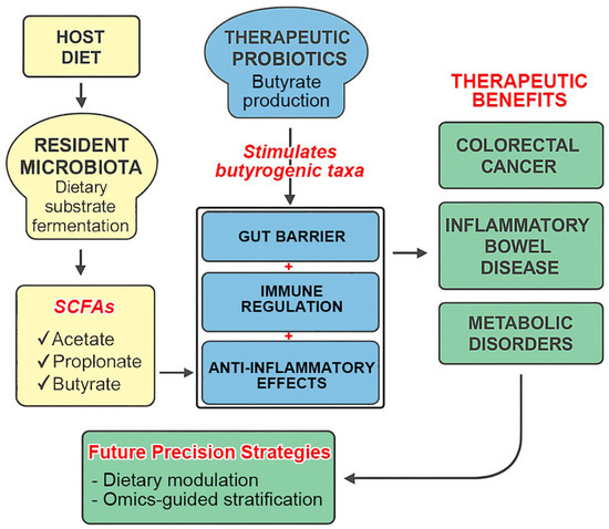 Gut-Microbiota-Derived Metabolites and Probiotic Strategies in ...