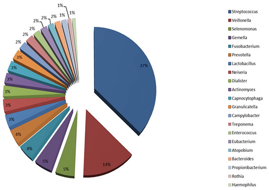 The Oral–Gut Microbiota Axis Across the Lifespan: New Insights on a ...