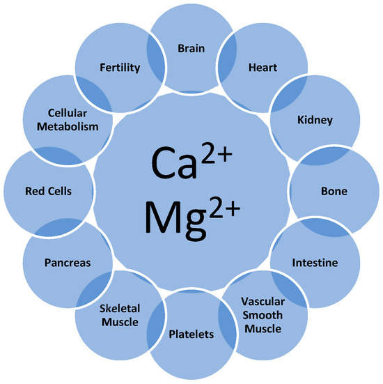 Novel Scale for Clinical Identification of Adverse Magnesium/Calcium ...