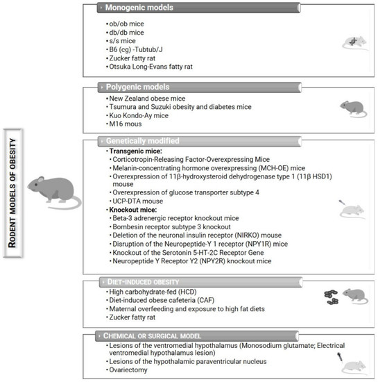 Murine Models of Obesity