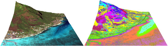 Oceans | Free Full-Text | Mapping Sub-Metre 3D Land-Sea Coral ...