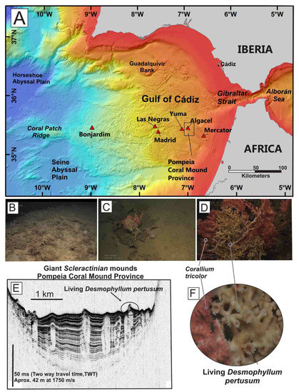 Oceans | Special Issue : Current Advances and Challenges in Ocean ...