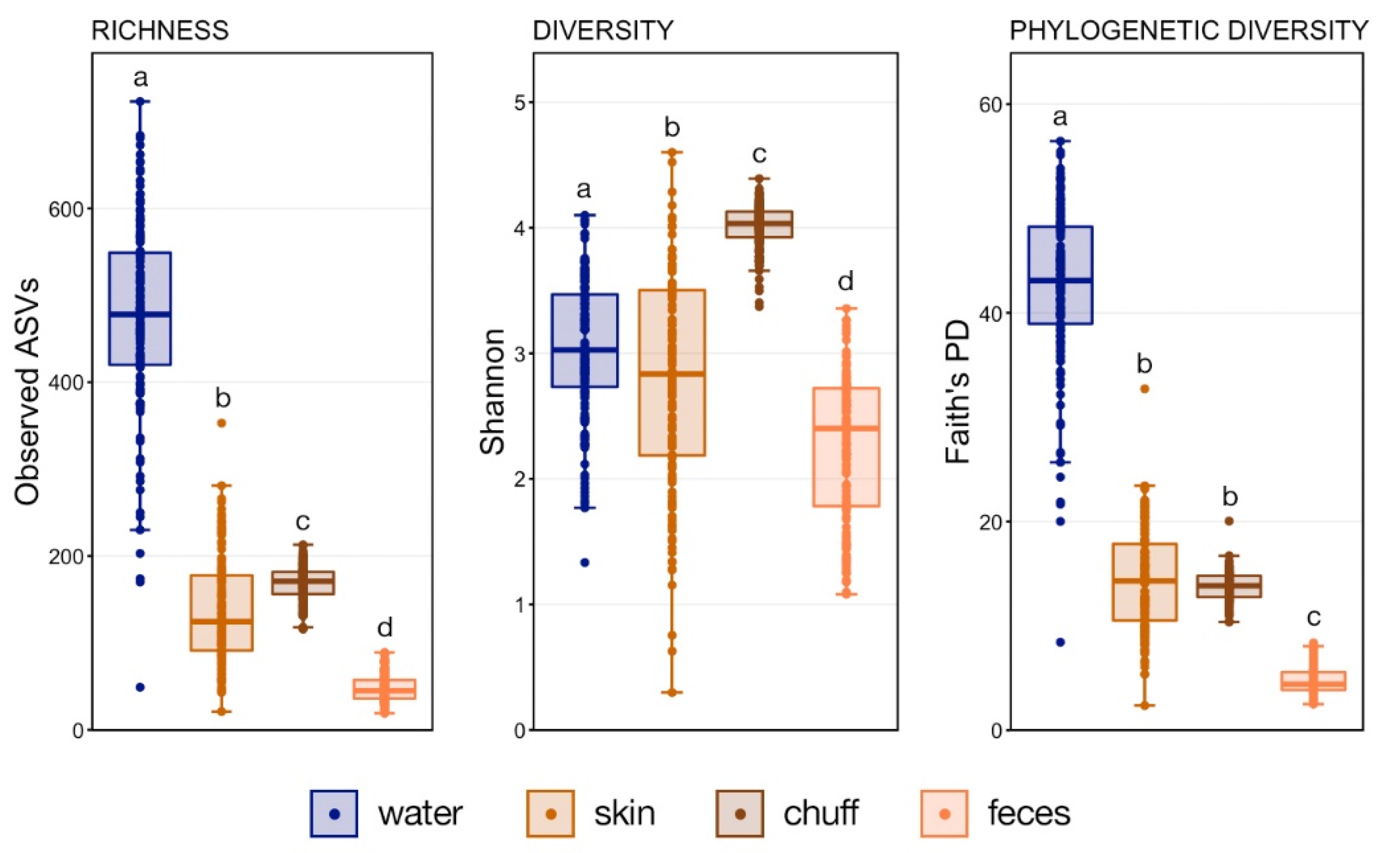 Oceans | Free Full-Text | Whale-Associated Microbial Communities Remain ...