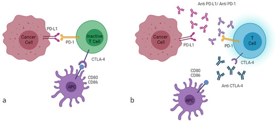 Onco | An Open Access Journal from MDPI