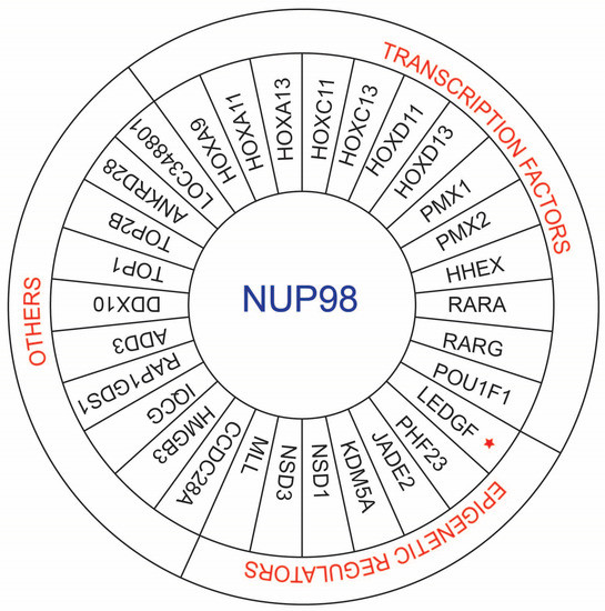 NUP98 Rearrangements in AML: Molecular Mechanisms and Clinical Implications