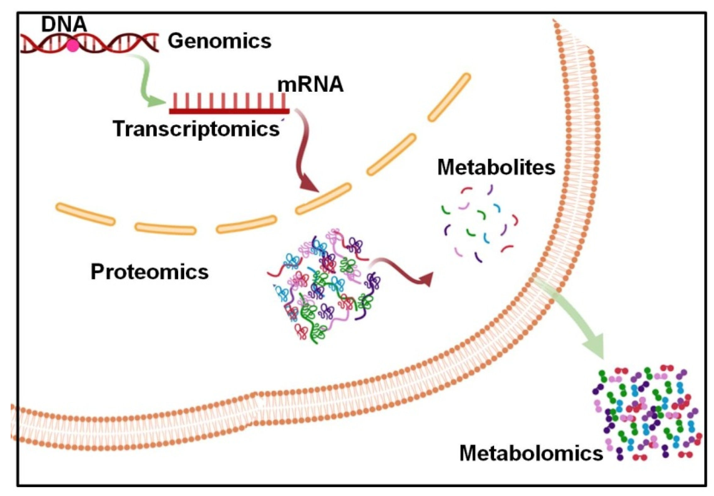 Advancing Bladder Cancer Biomarker Discovery Integrating Mass Spectrometry And Molecular Imaging