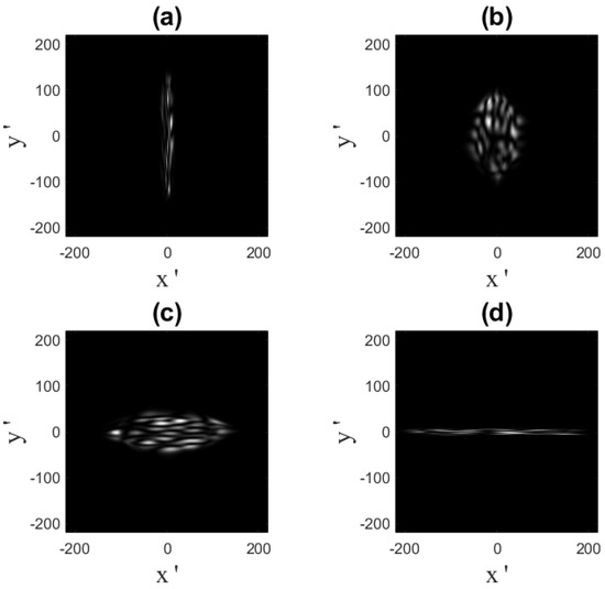 3D-Tracking of Sand Particles in a Wave Flume Using Interferometric Imaging