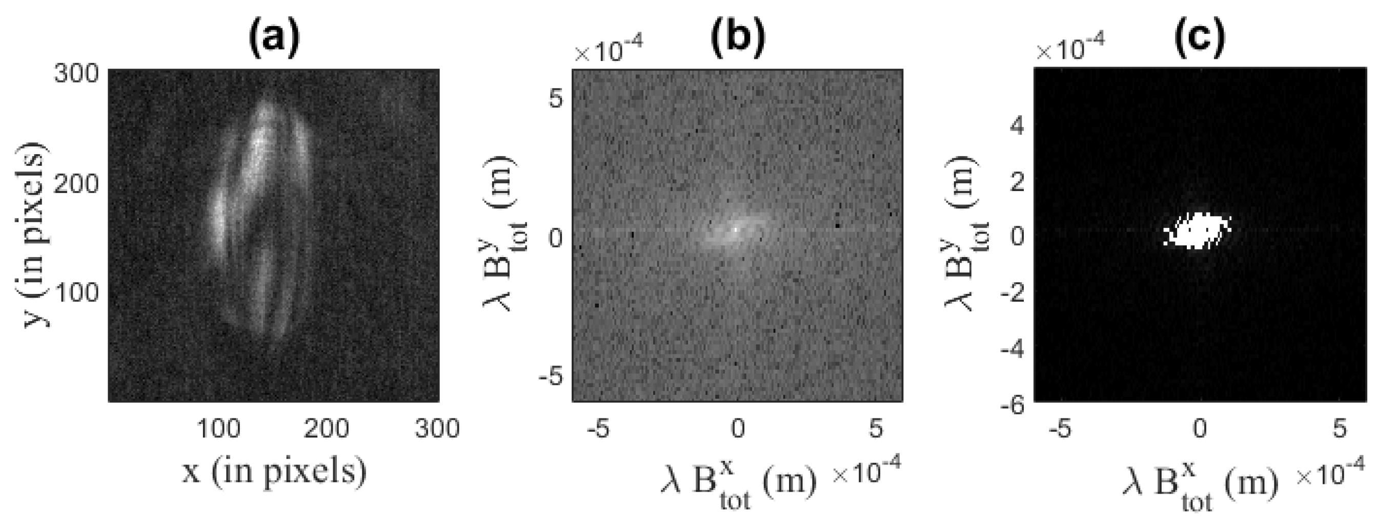 3D-Tracking of Sand Particles in a Wave Flume Using Interferometric Imaging