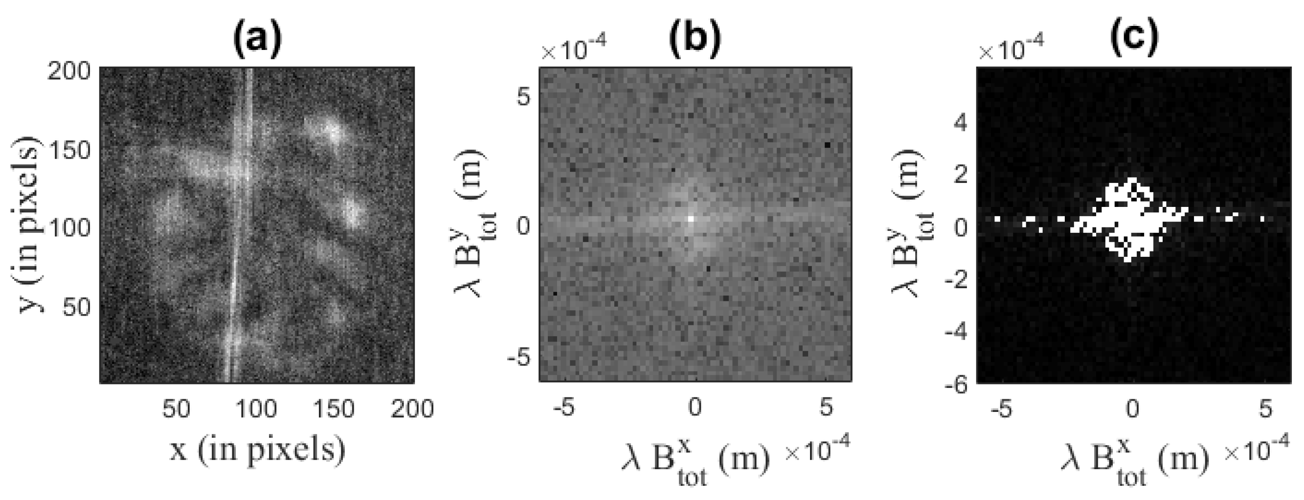 3D-Tracking of Sand Particles in a Wave Flume Using Interferometric Imaging