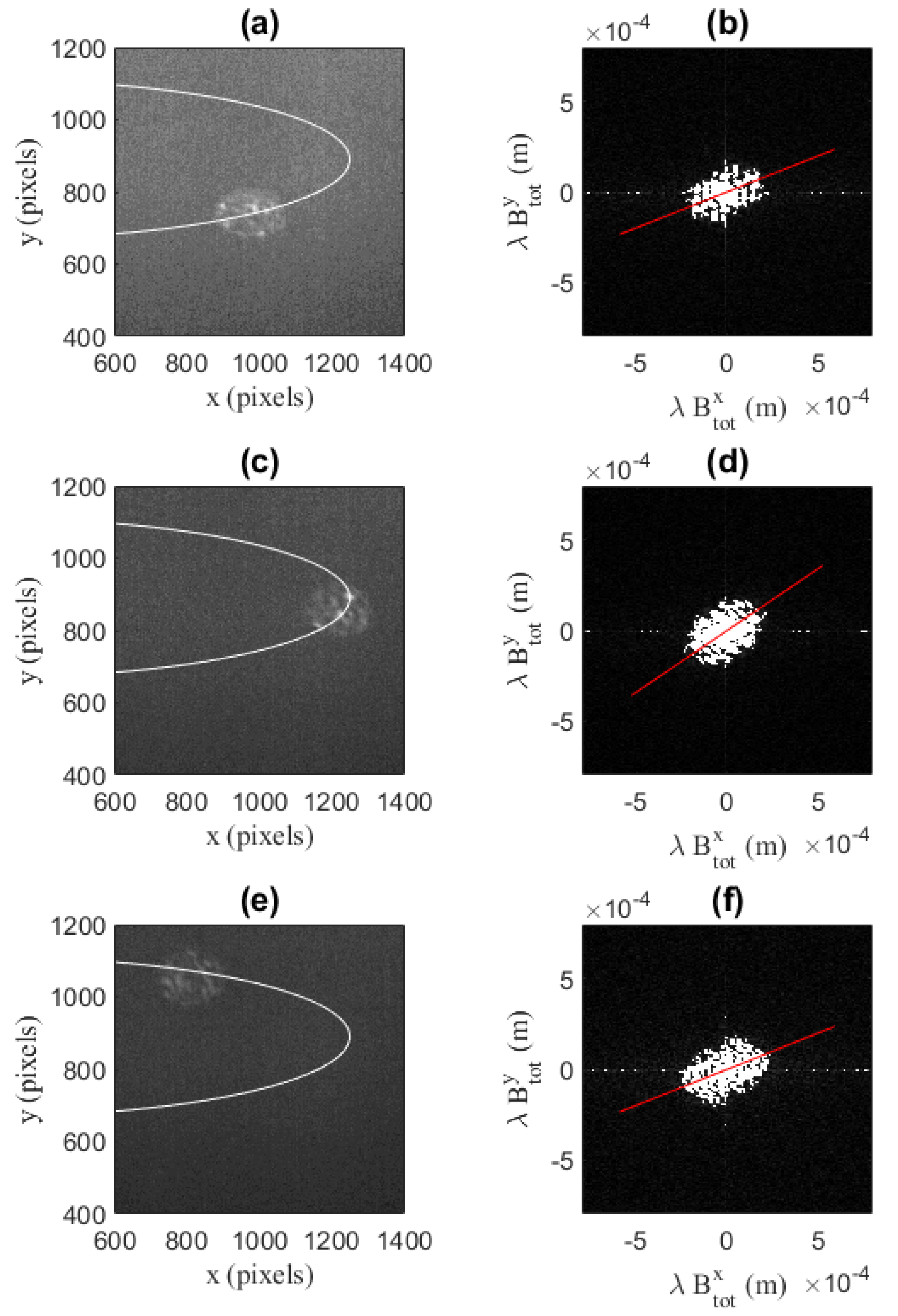 3D-Tracking of Sand Particles in a Wave Flume Using Interferometric Imaging