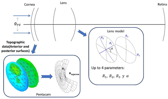 Understanding the Real Effect of the High-Order Aberrations after Myopic Femto-Lasik