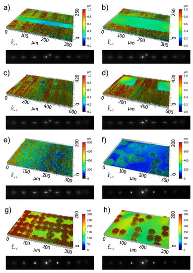 Compact Optical System Based on Scatterometry for Off-Line and Real-Time Monitoring of Surface ...