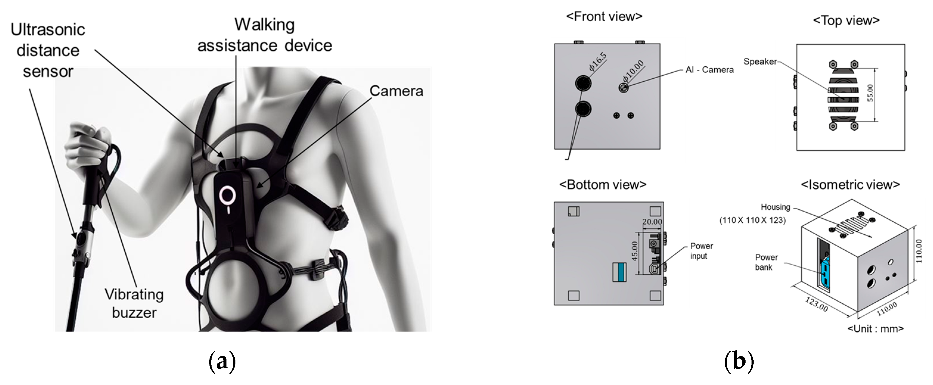 Mobility Support with Intelligent Obstacle Detection for Enhanced Safety