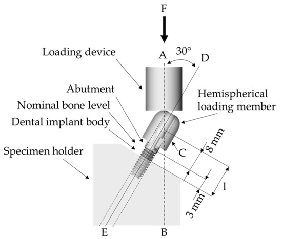 Influence of Implant-Abutment Contact Surfaces and Prosthetic Screw ...