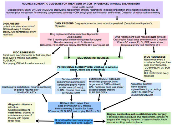 Calcium-Channel-Blocker-Influenced Gingival Enlargement: A Conundrum ...