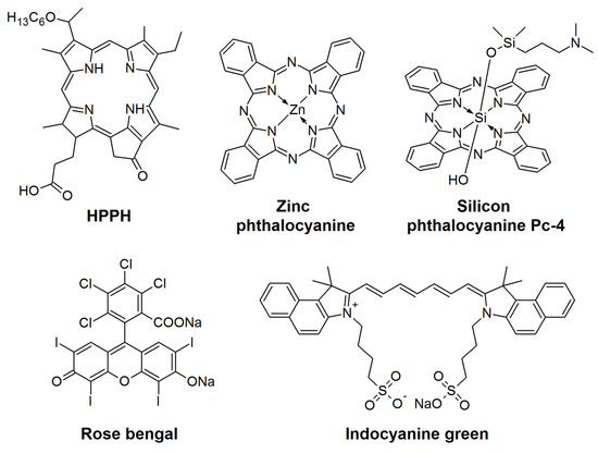 Photodynamic Therapy of Oral Cancer and Novel Liposomal Photosensitizers