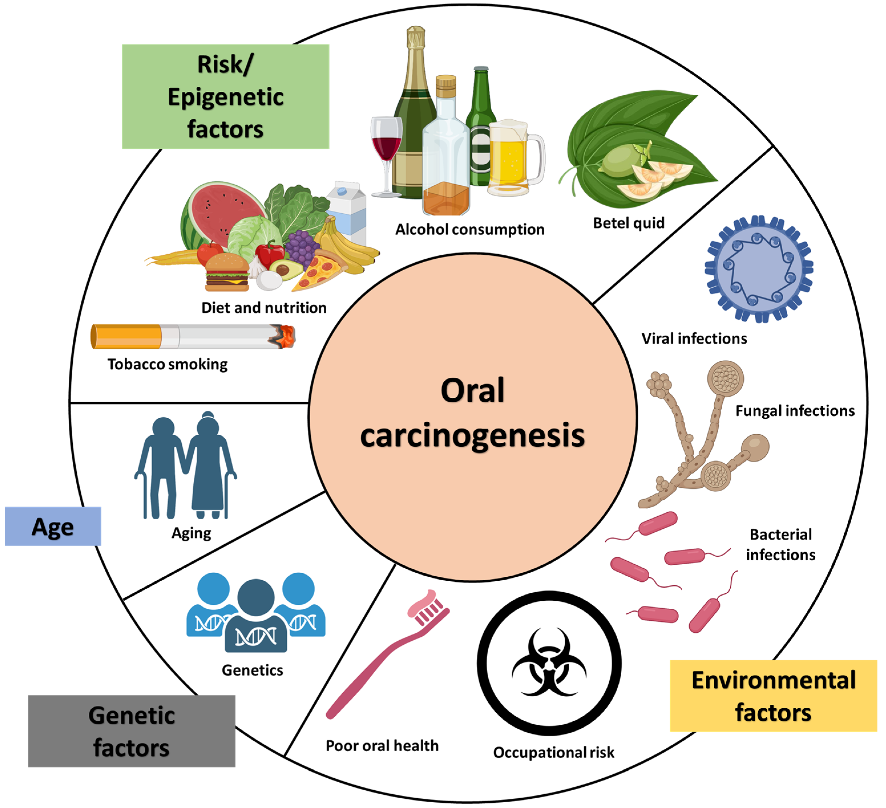 Oral Cancer Disease among the Poor: A Sri Lankan Context