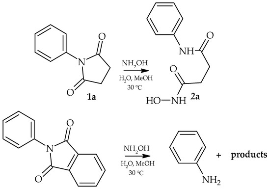 A Reaction of N-Substituted Succinimides with Hydroxylamine as a Novel ...