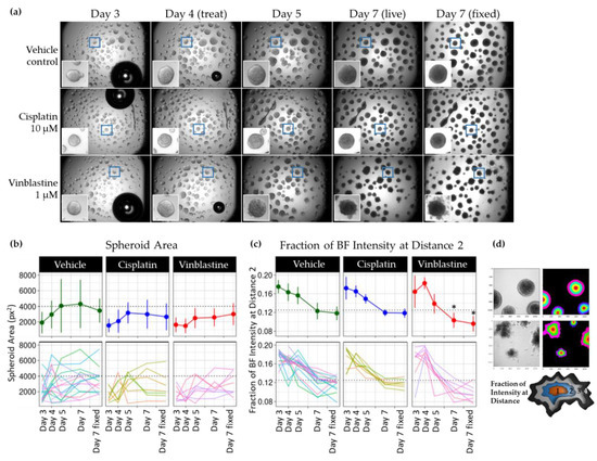 High-Throughput Live and Fixed Cell Imaging Method to Screen Matrigel ...