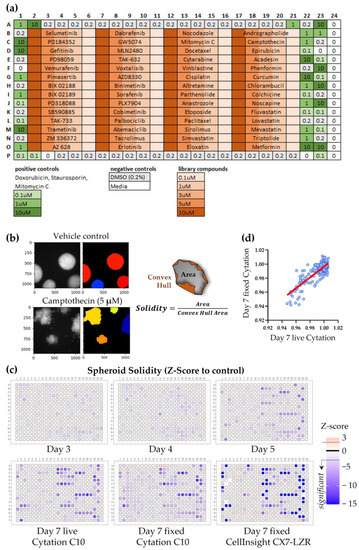 High-Throughput Live and Fixed Cell Imaging Method to Screen Matrigel ...