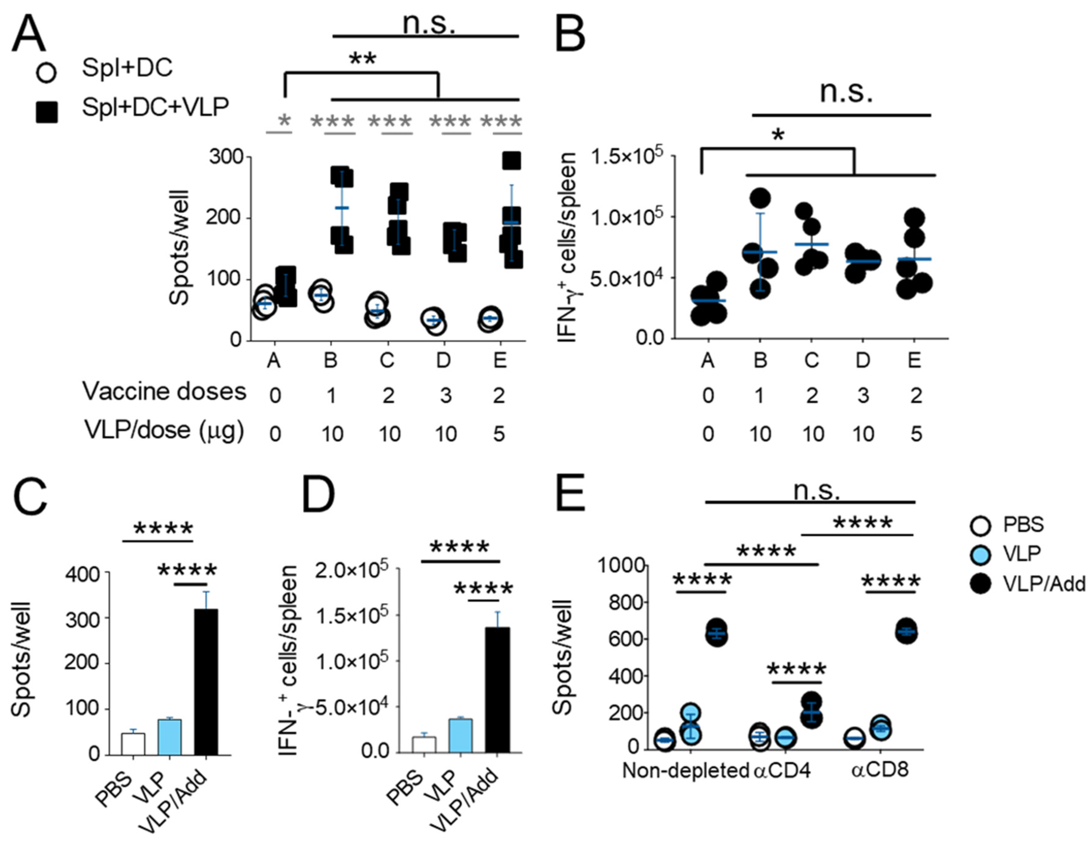 Human Nasal Epithelium Organoids for Assessing Neutralizing Antibodies ...