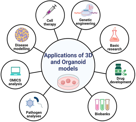 Organoids and 3D In Vitro Models as a Platform for Precision Medicine ...
