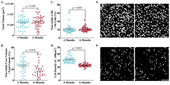 Three-Dimensional Morphological Characterisation of Human Cortical ...