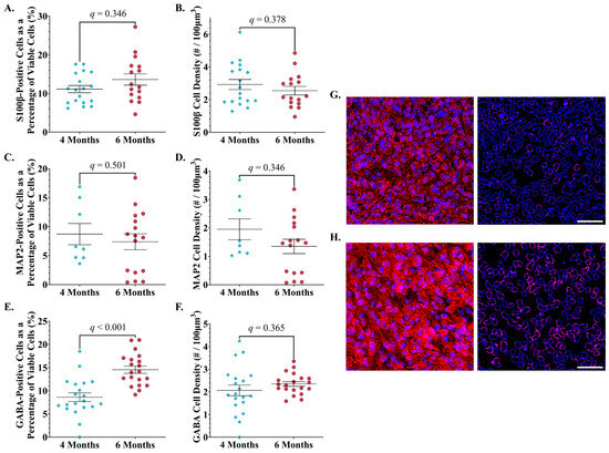 Three-Dimensional Morphological Characterisation of Human Cortical ...
