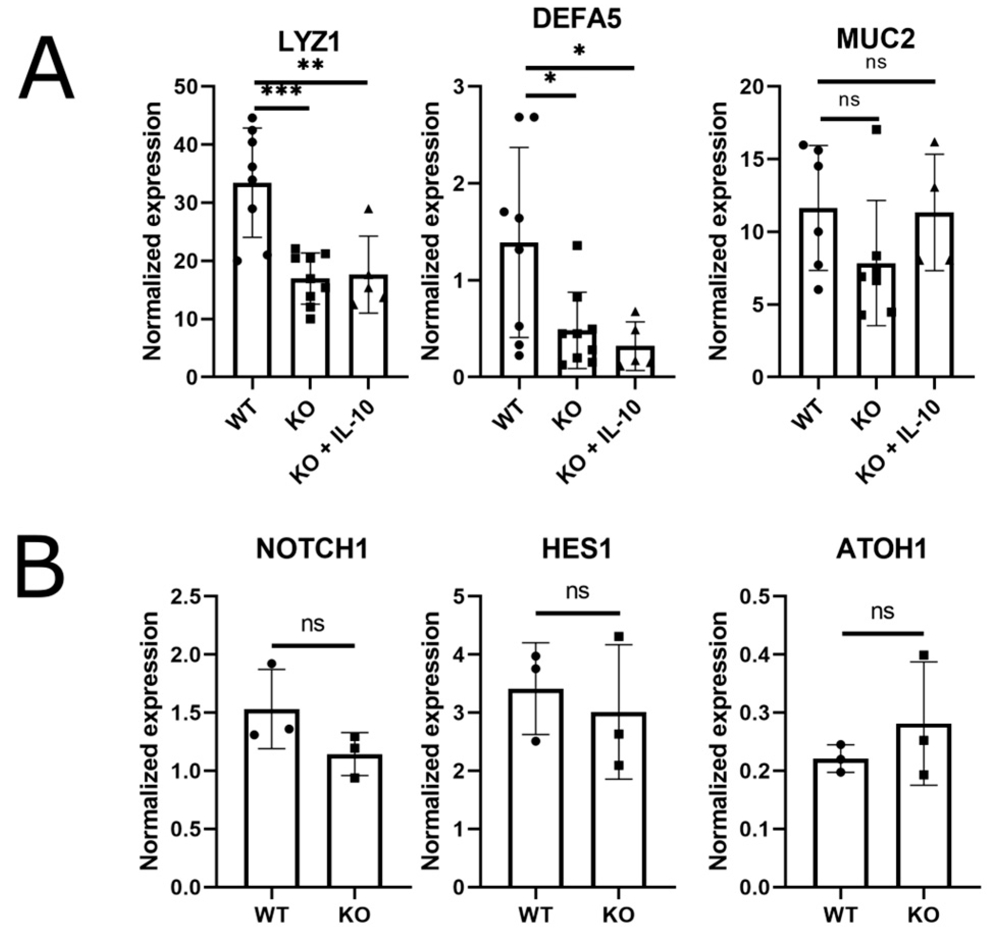 Paneth Cells Are a Constitutive Source of IL-10 in Mouse Small ...