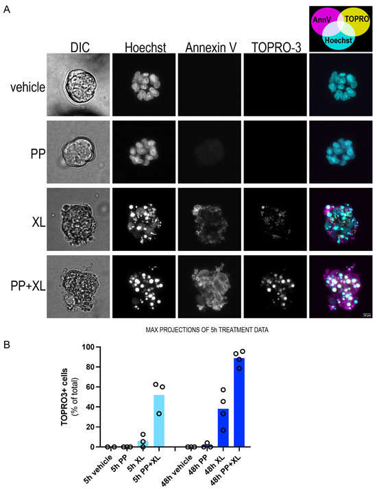 Pyrvinium Pamoate and BCL-XL Inhibitors Act Synergistically to Kill ...