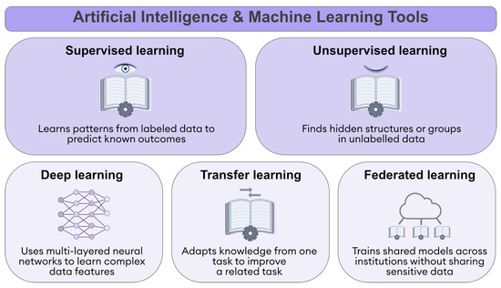 AI-Enhanced Patient-Derived Cancer Organoids: Integrating Machine ...