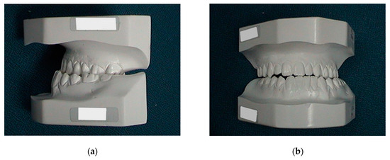 Osteology | Free Full-Text | Sixty Years of Innovation in Biomechanical ...