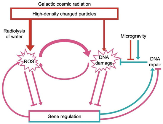 Oxygen | An Open Access Journal from MDPI