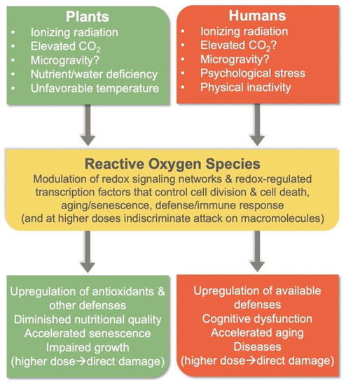 Oxygen | An Open Access Journal from MDPI