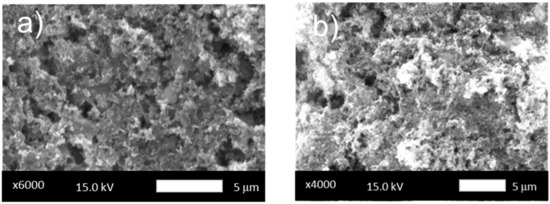 Bifunctional Catalytic Activity of γ-NiOOH toward Oxygen Reduction and ...