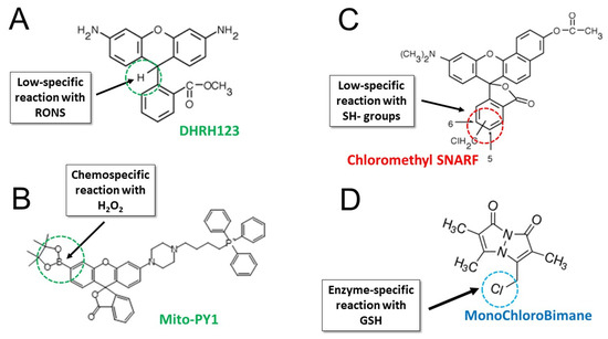 Flow Cytometry of Oxygen and Oxygen-Related Cellular Stress