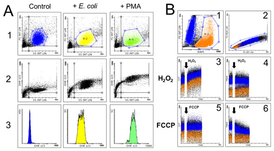 Flow Cytometry of Oxygen and Oxygen-Related Cellular Stress