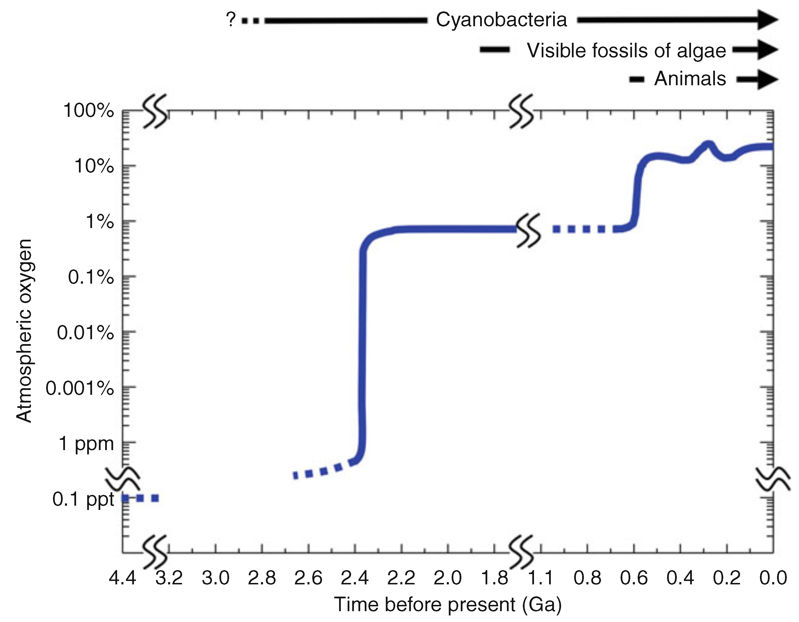 Oxygen in the Earth System
