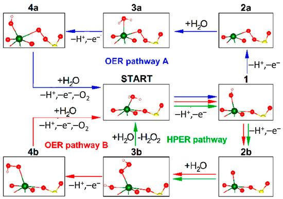 Oxygen | Free Full-Text | Molecular Mechanisms of Oxygen Evolution ...