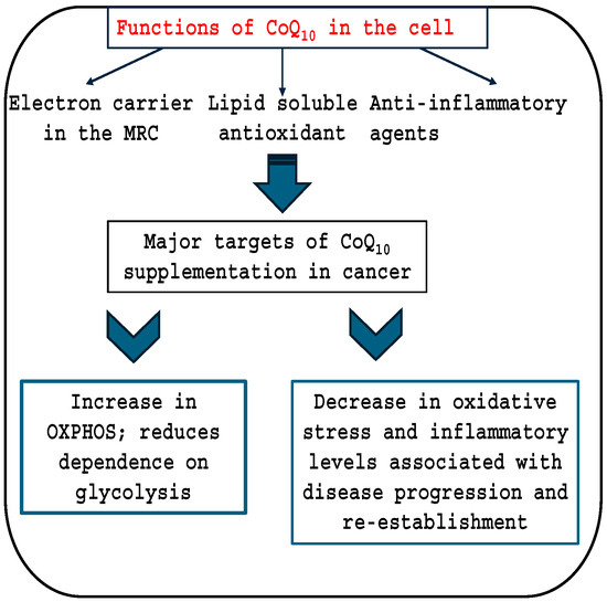 Energy Metabolism as a Therapeutic Target in Cancer: The Role of ...