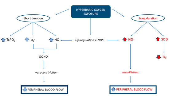 Hyperbaric Oxygen in Otorhinolaryngology: Current Concepts in ...