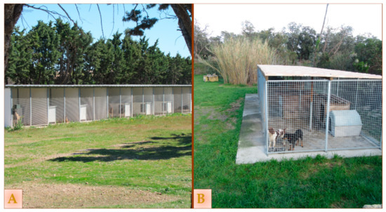 Field Evaluation of Preventive Efficacy of Monthly Multimodal ...