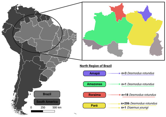 Molecular Survey of Piroplasmids and Hemosporidians in Vampire Bats ...